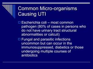 Urinary Tract Infection | PPT