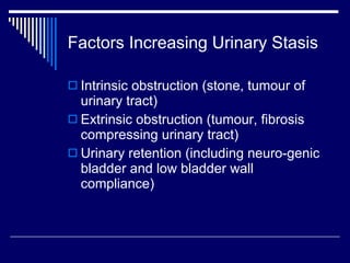 Urinary Tract Infection | PPT