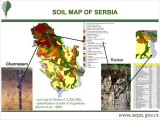 Spatial distribution of soil organic carbon stocks in Serbia | PPTX ...
