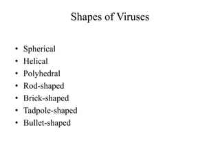 5,Virus Properties.pptx