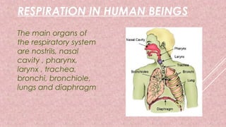 Life processes | PPT