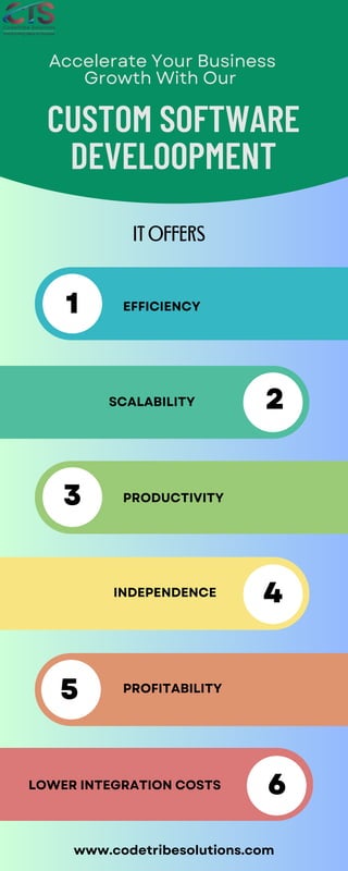 Custom Software Development Services | PDF