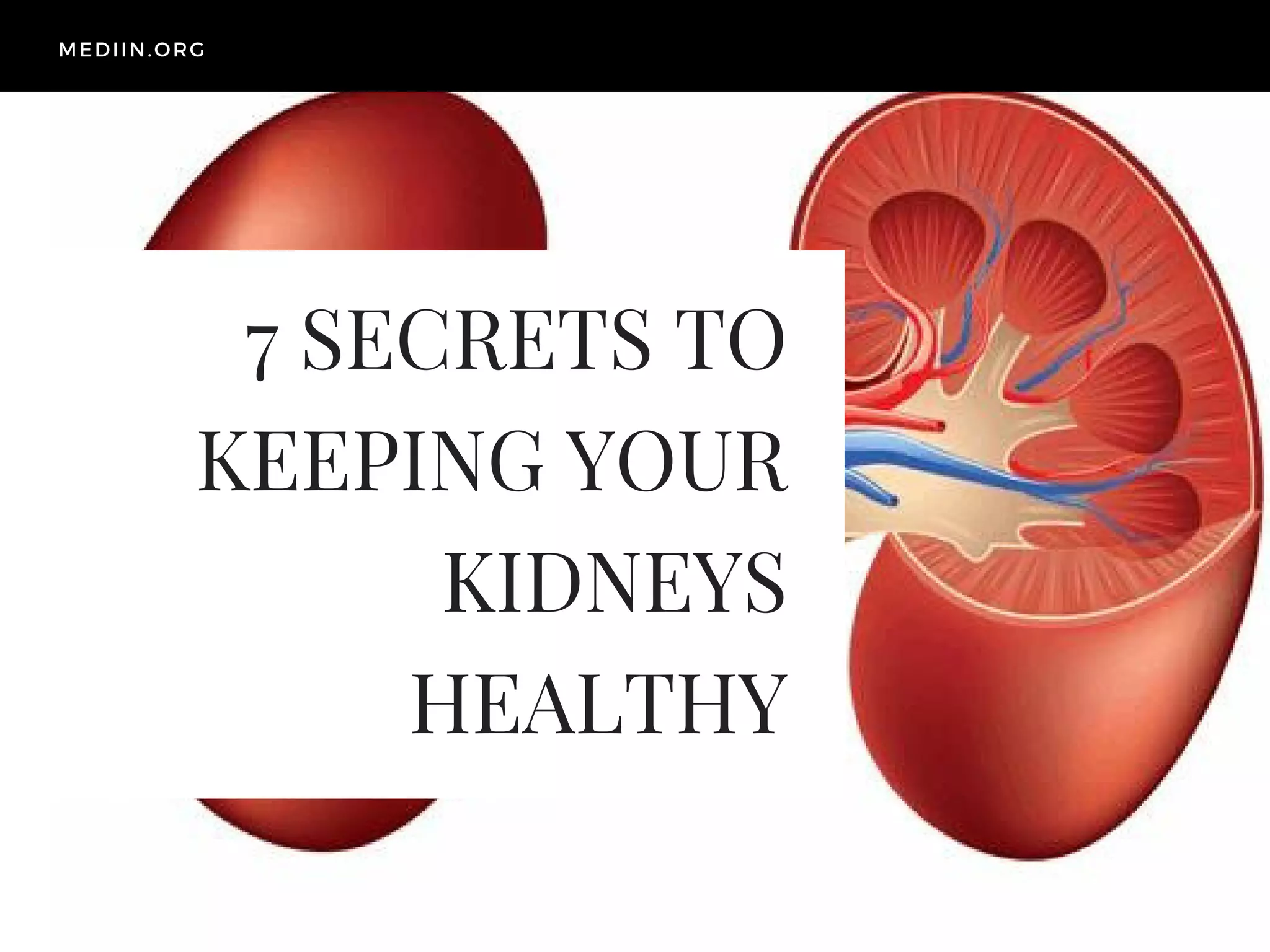 5 Ways To Keep Kidney Healthy | PDF | Nutrition | Healthy Living