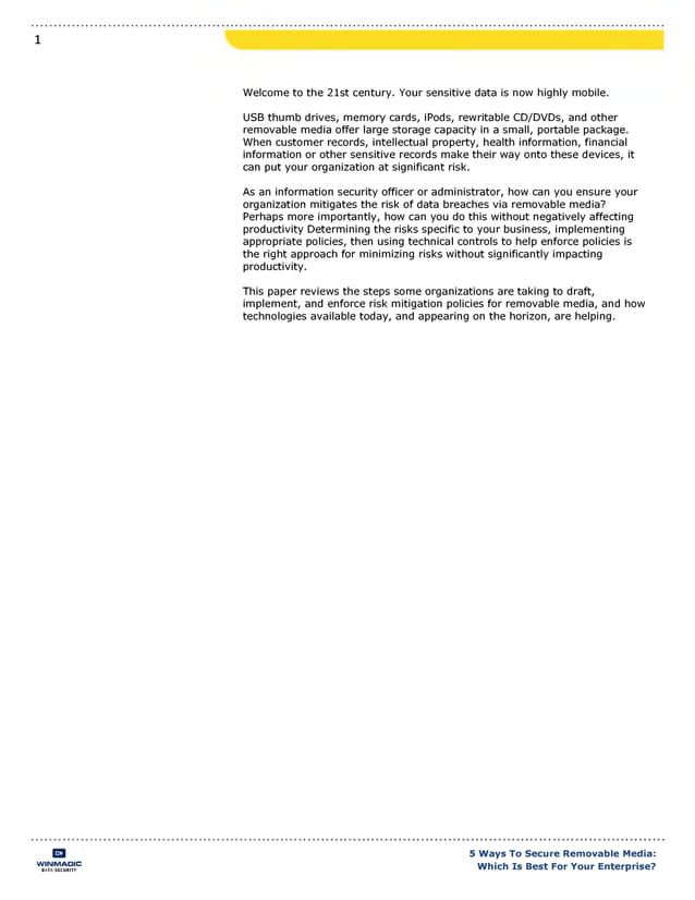 5 ways to Secure Removable Media | PDF