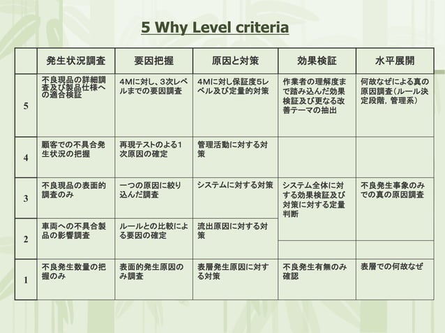 5 why criteria matrix | PPT | Business and Finance