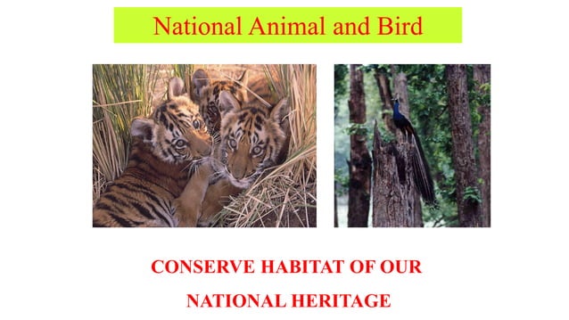 5. THE WILDLIFE (PROTECTION) ACT, 1972; WILDLIFE IMPACT ASSESSMENT ...