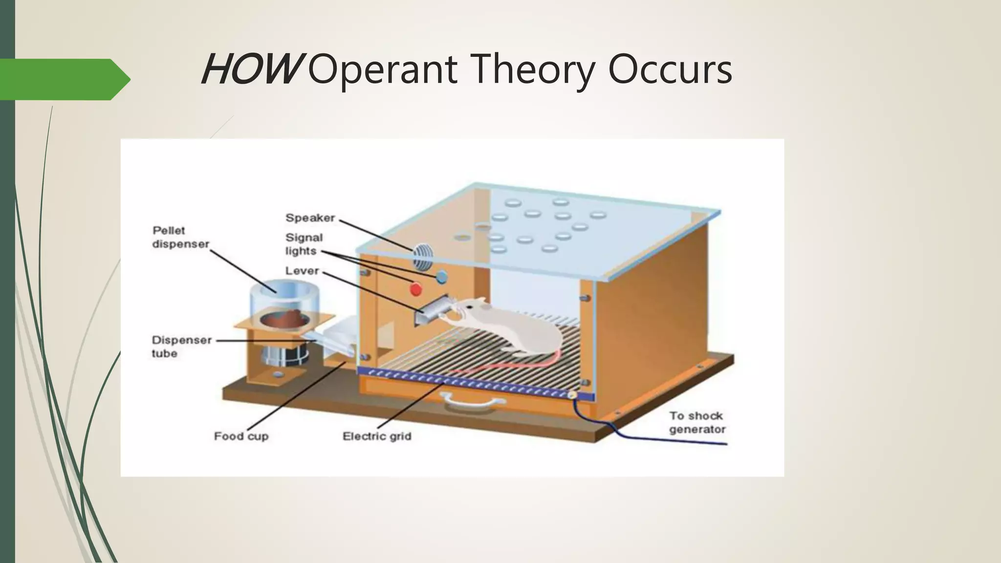 Operant Conditioning Theory 5 W's & 1H | PPT