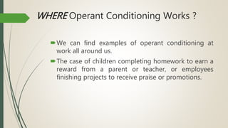 Operant Conditioning Theory 5 W's & 1H | PPT
