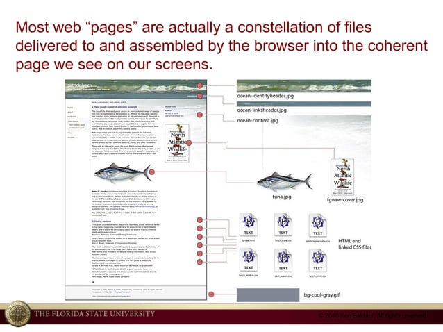5 wsg site-structure | PPT