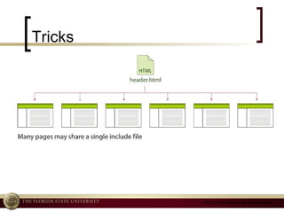 5 wsg site-structure | PPT