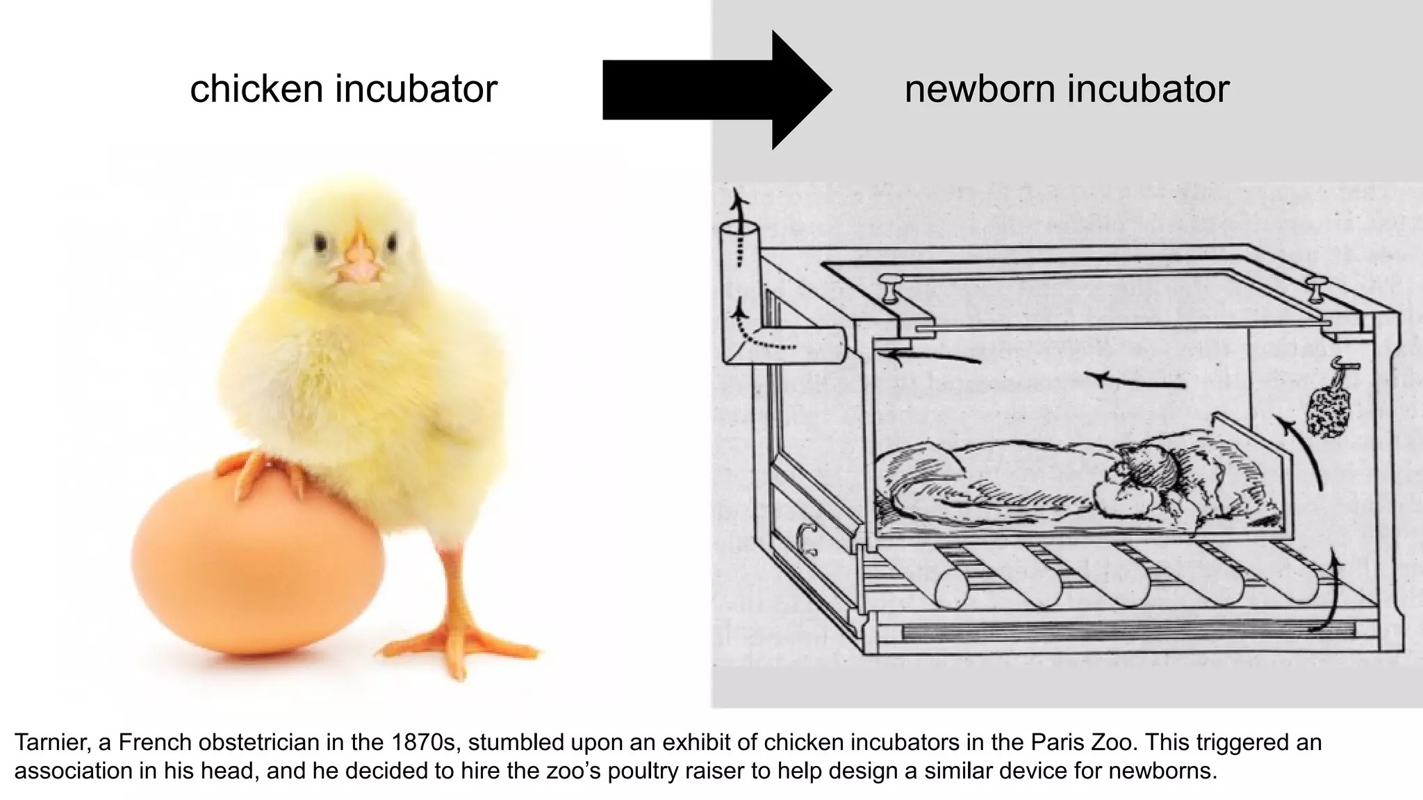 The Adjacent Possible | PDF