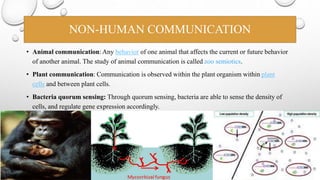 Communication skills | PPTX