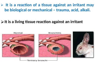 inflammation process in veterinary science (2).pptx