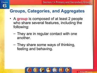 6-1-PPT Primary and Secondary Groups.ppt
