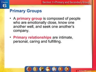 6-1-PPT Primary and Secondary Groups.ppt