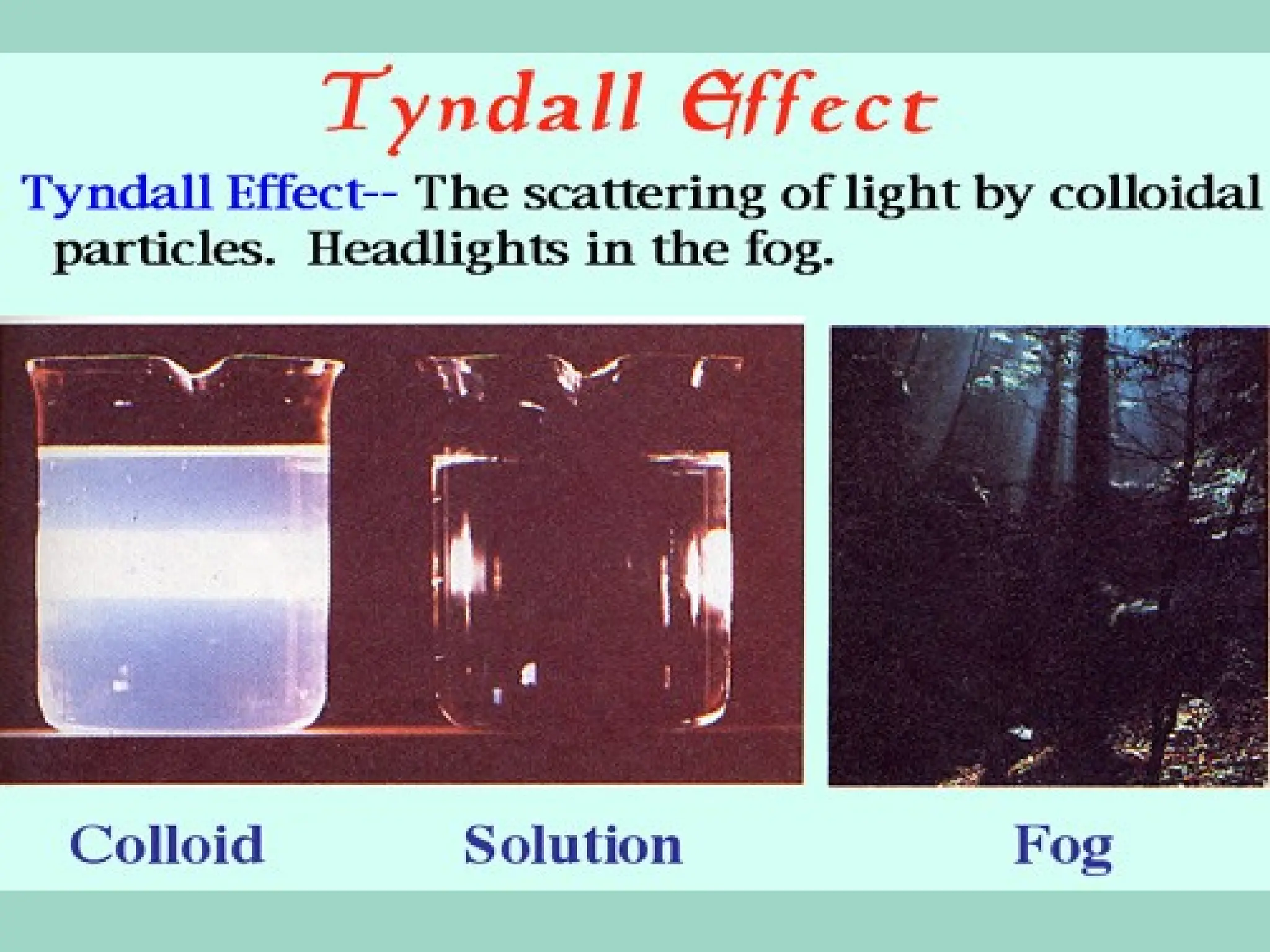 colloids grade 6 science presentationppt | PPT