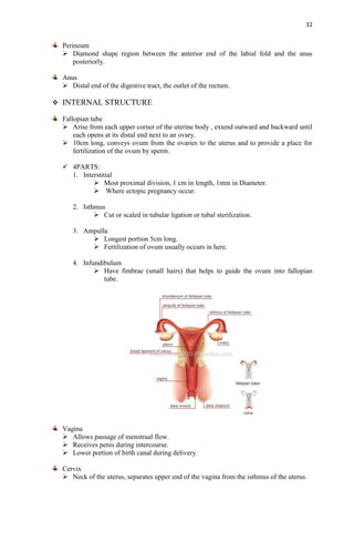 6 | DOCX