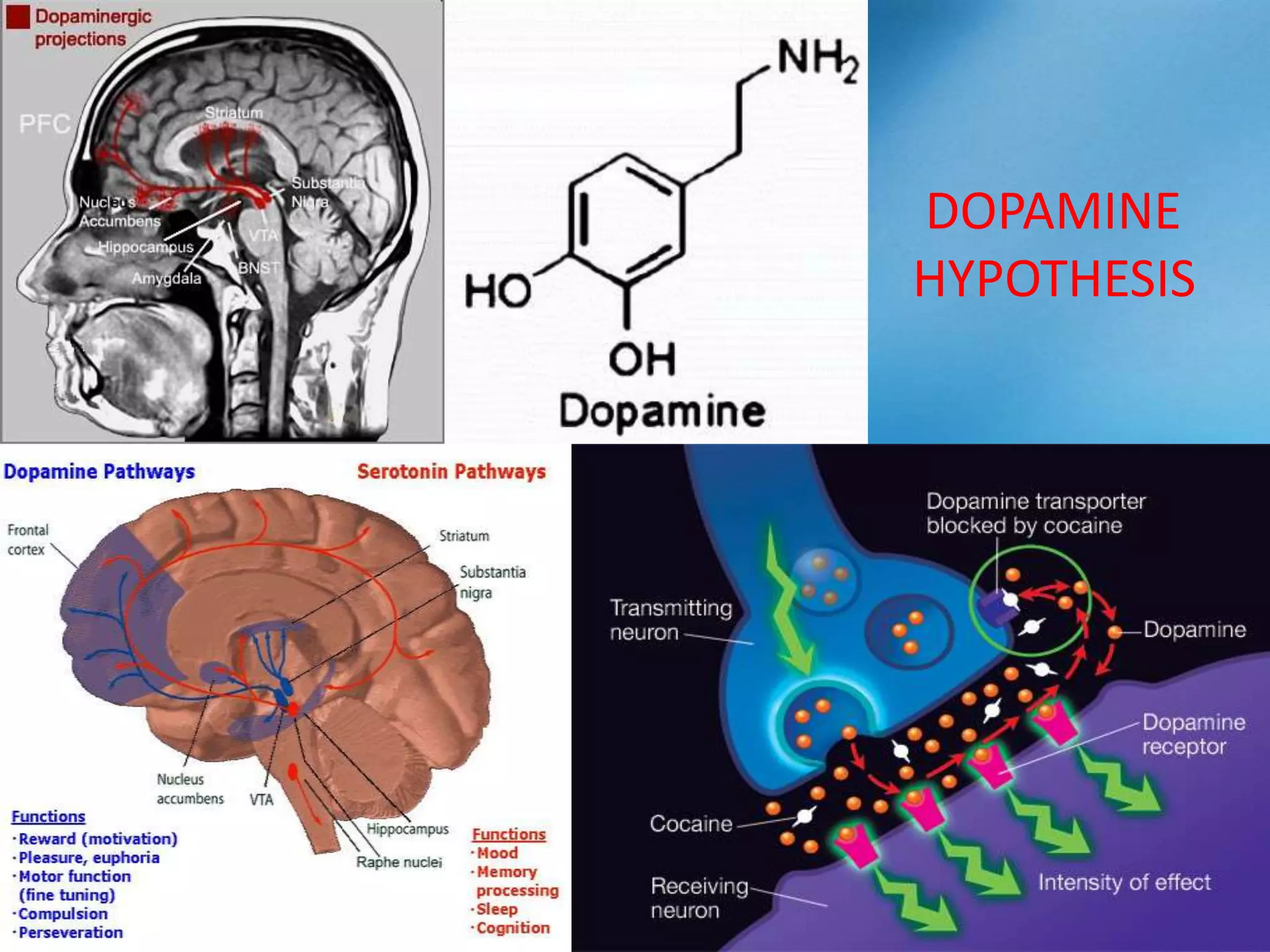 Biological aspects of schizophrenia | PPTX