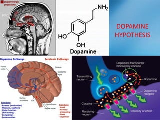 Biological aspects of schizophrenia | PPTX