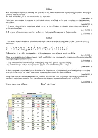 διαγωνισμα 6 κεφαλαιο | DOC