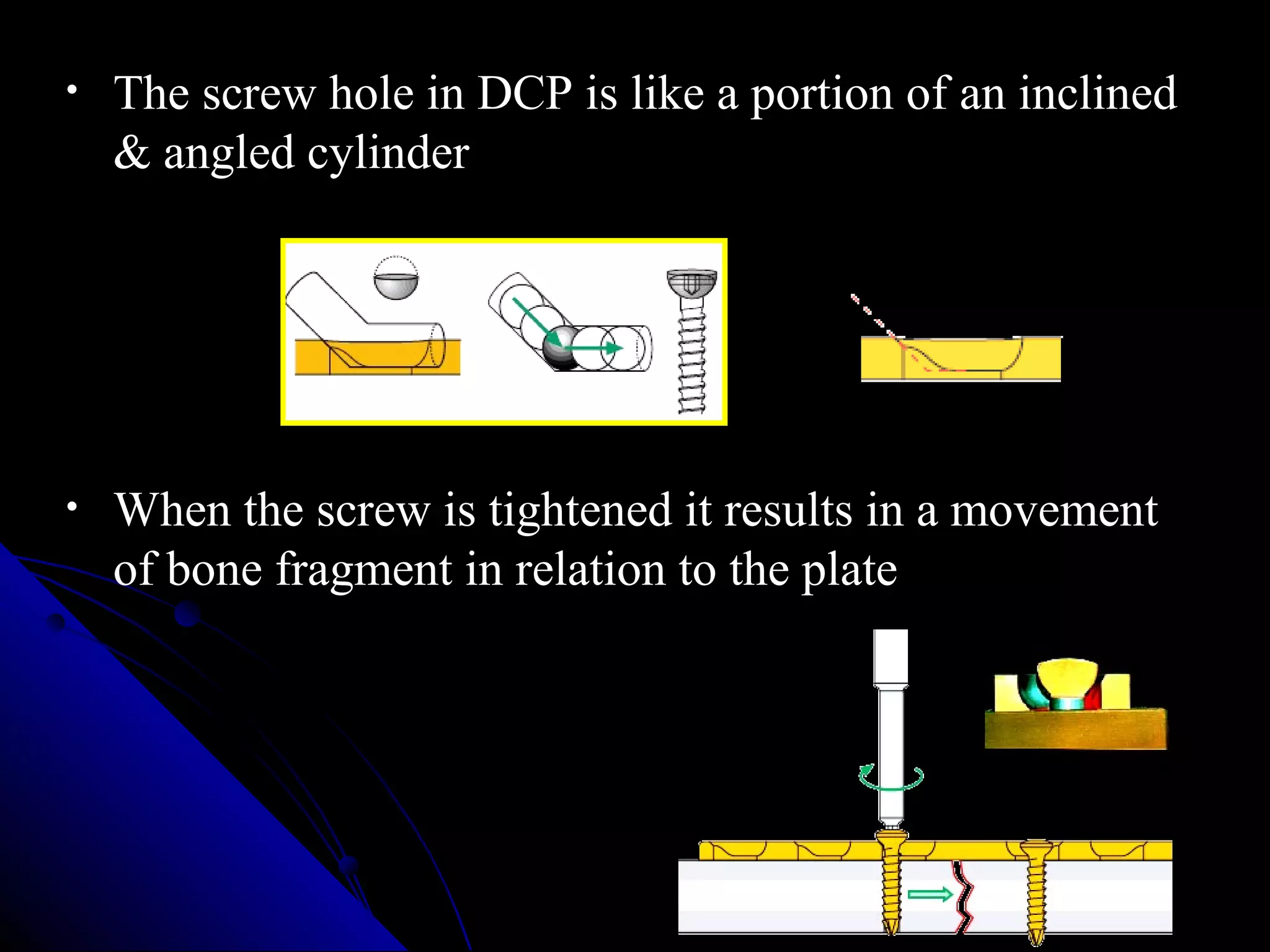 Plates-form and function | PPT