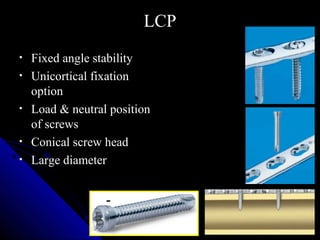 Plates-form and function | PPT