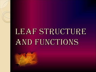 Photosynthesis (form 4 biology) | PPTX