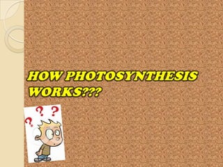 Photosynthesis (form 4 biology) | PPTX