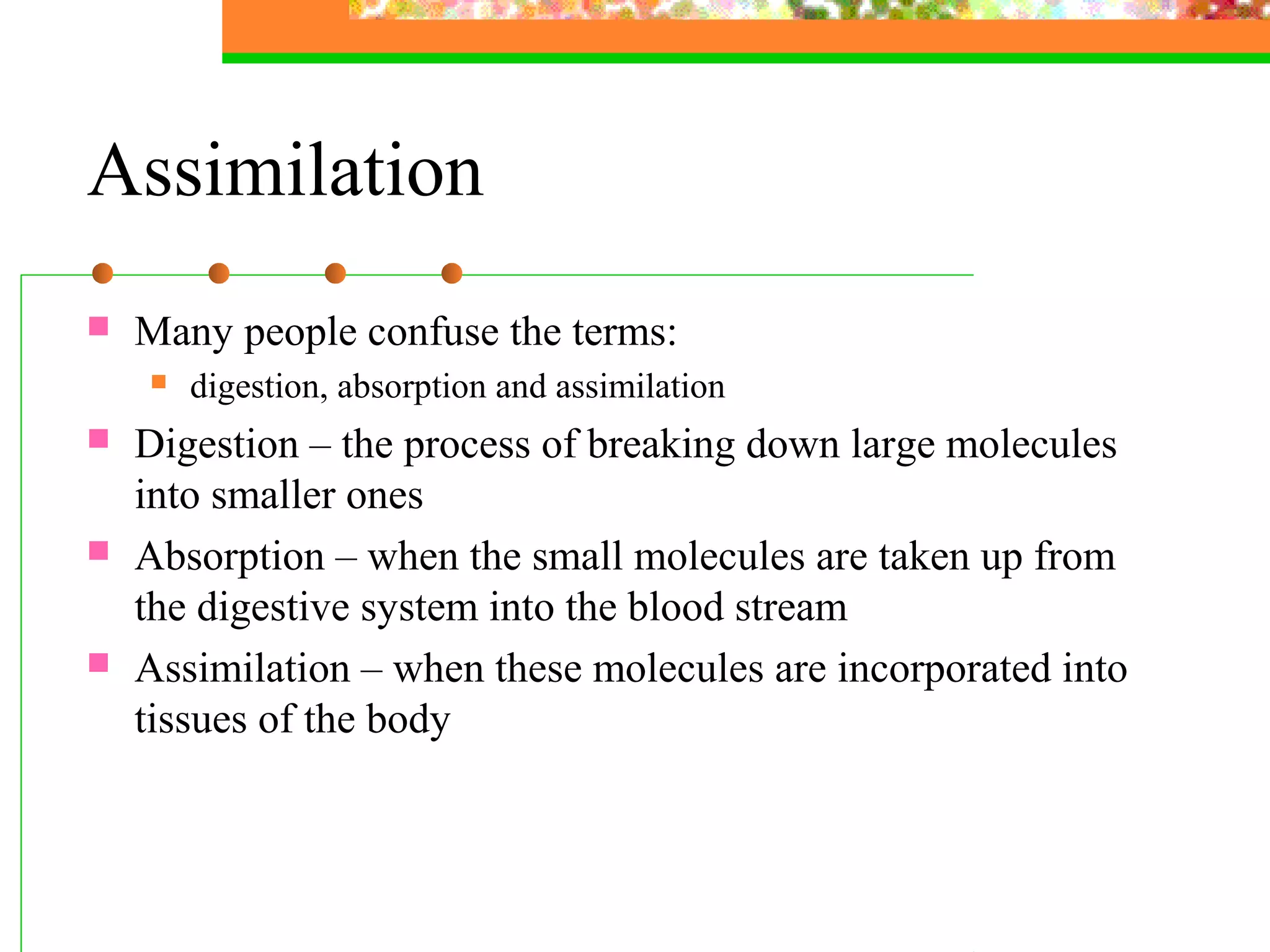 6.1 digestion | PPT