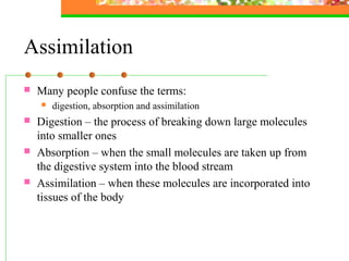 6.1 digestion | PPT