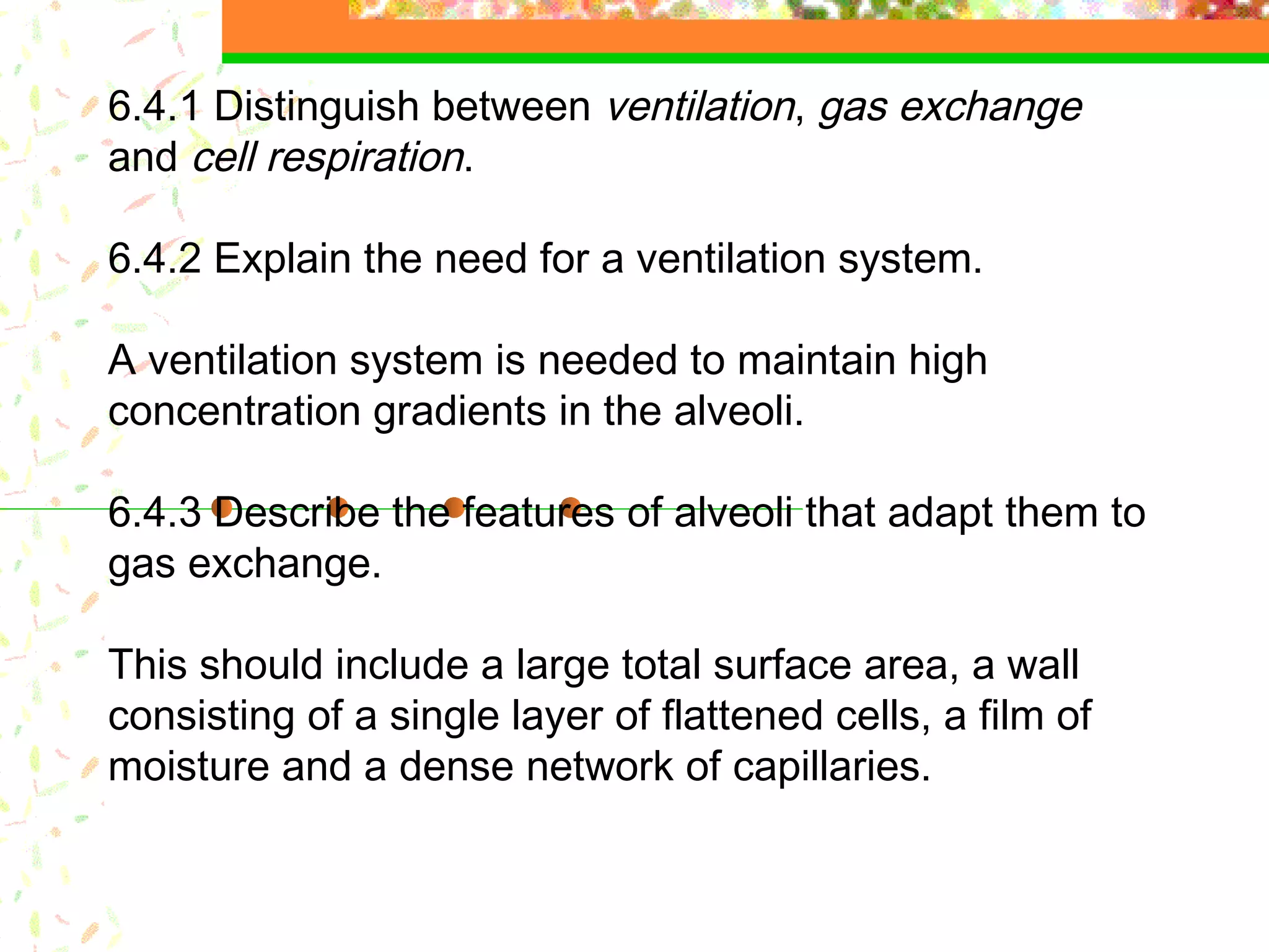 6.4 gas exchange | PPT
