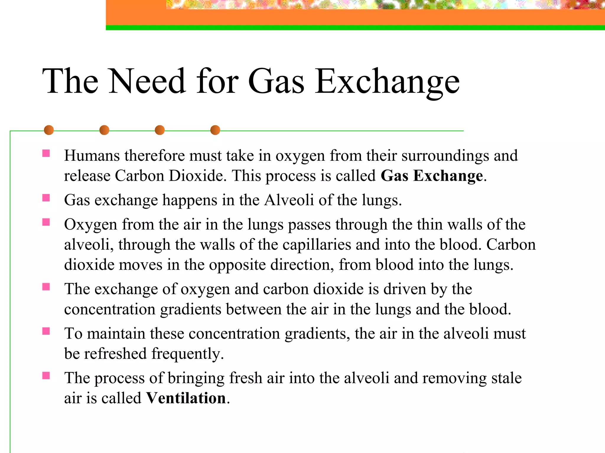 6.4 gas exchange | PPT