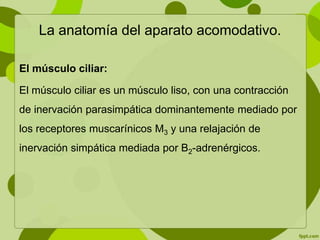 Inervación Del Músculo Ciliar