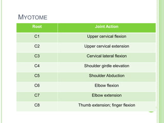 6.2 fraktur cervical | PPT