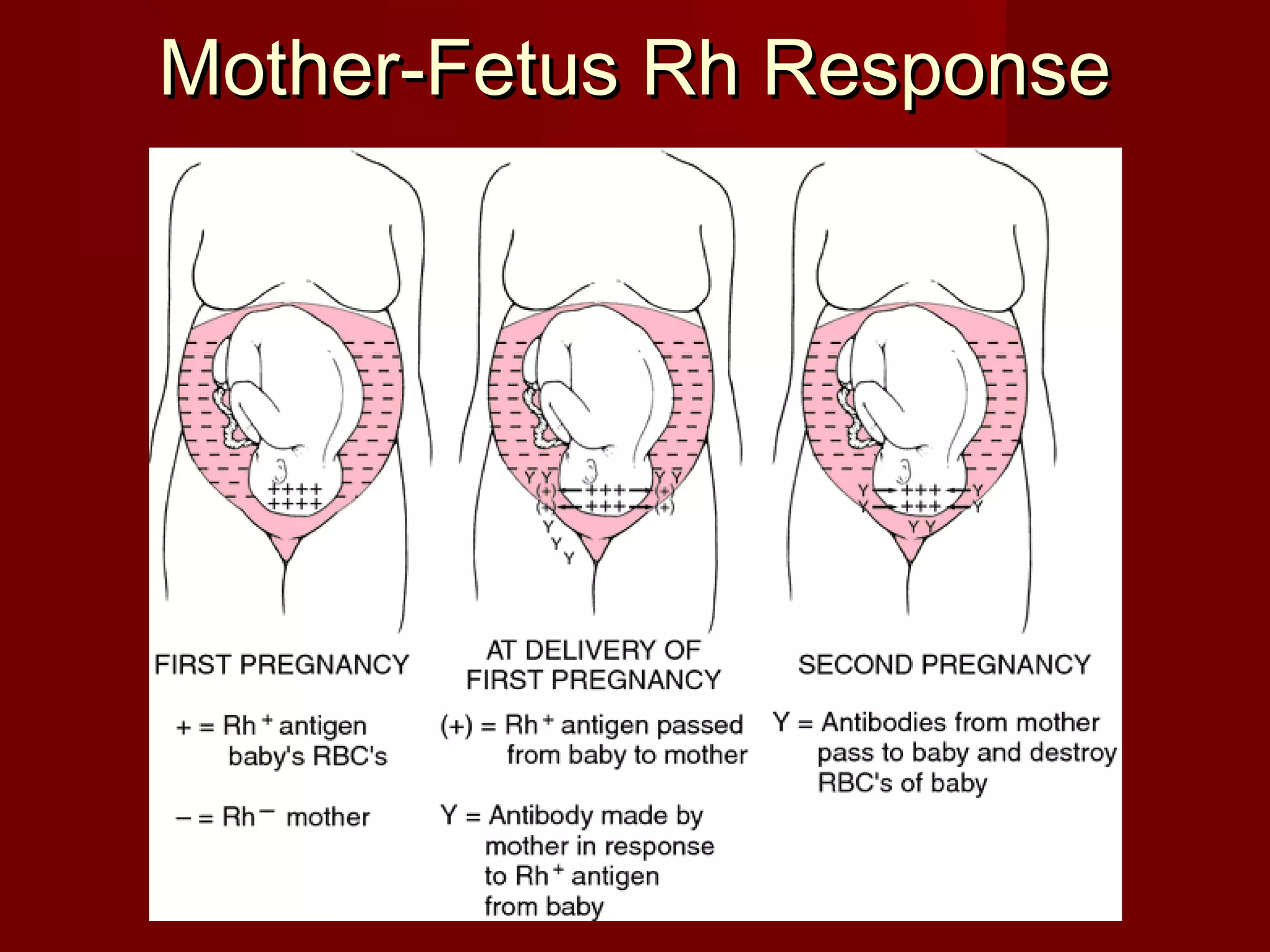 6.abo and rh blood typing. | PPT