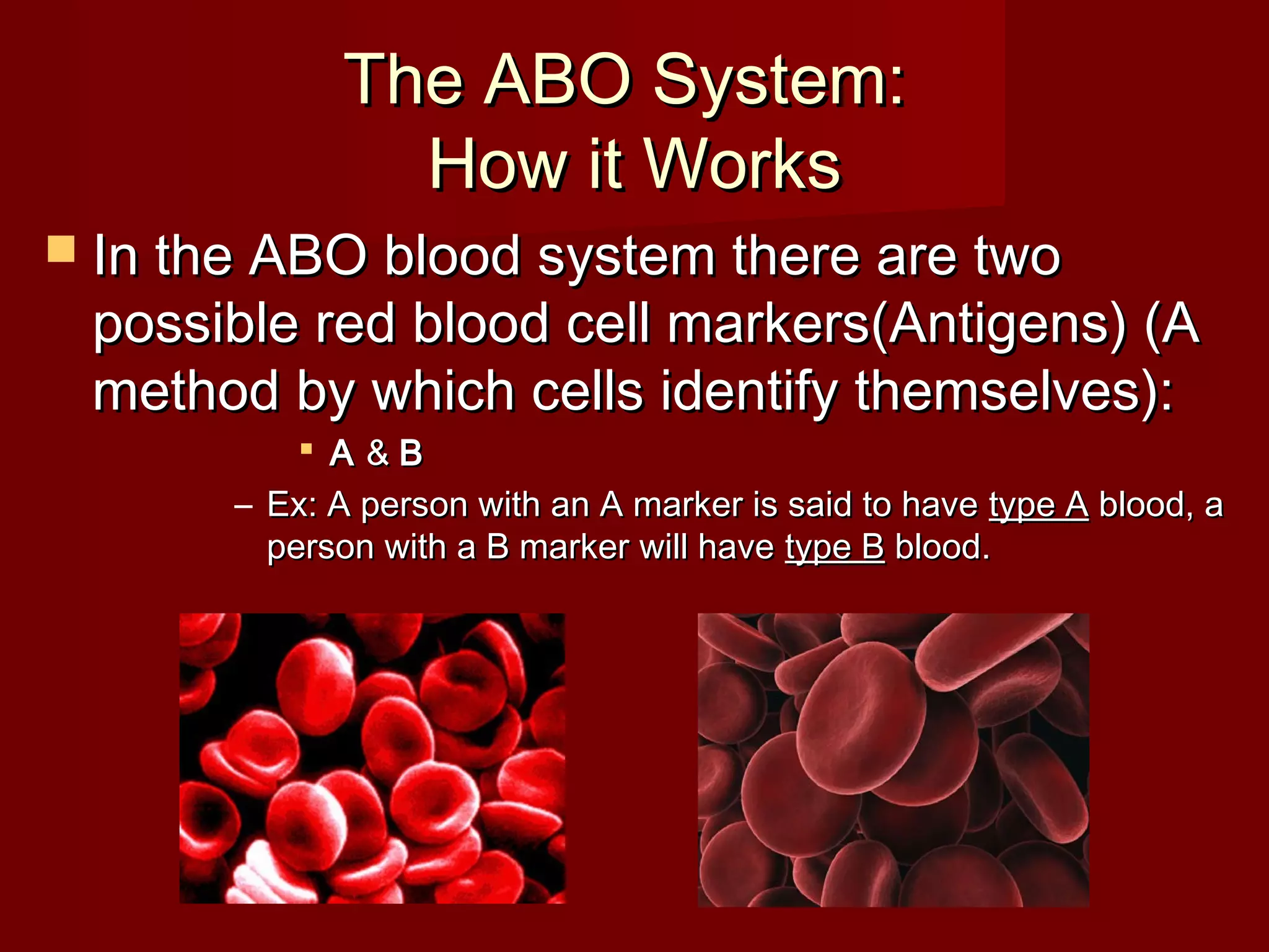 6.abo and rh blood typing. | PPT
