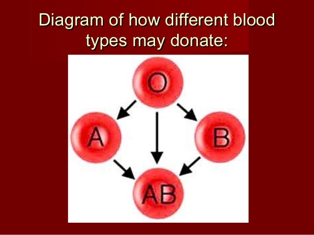 Which Blood Type Can Donate Blood To All Other Types