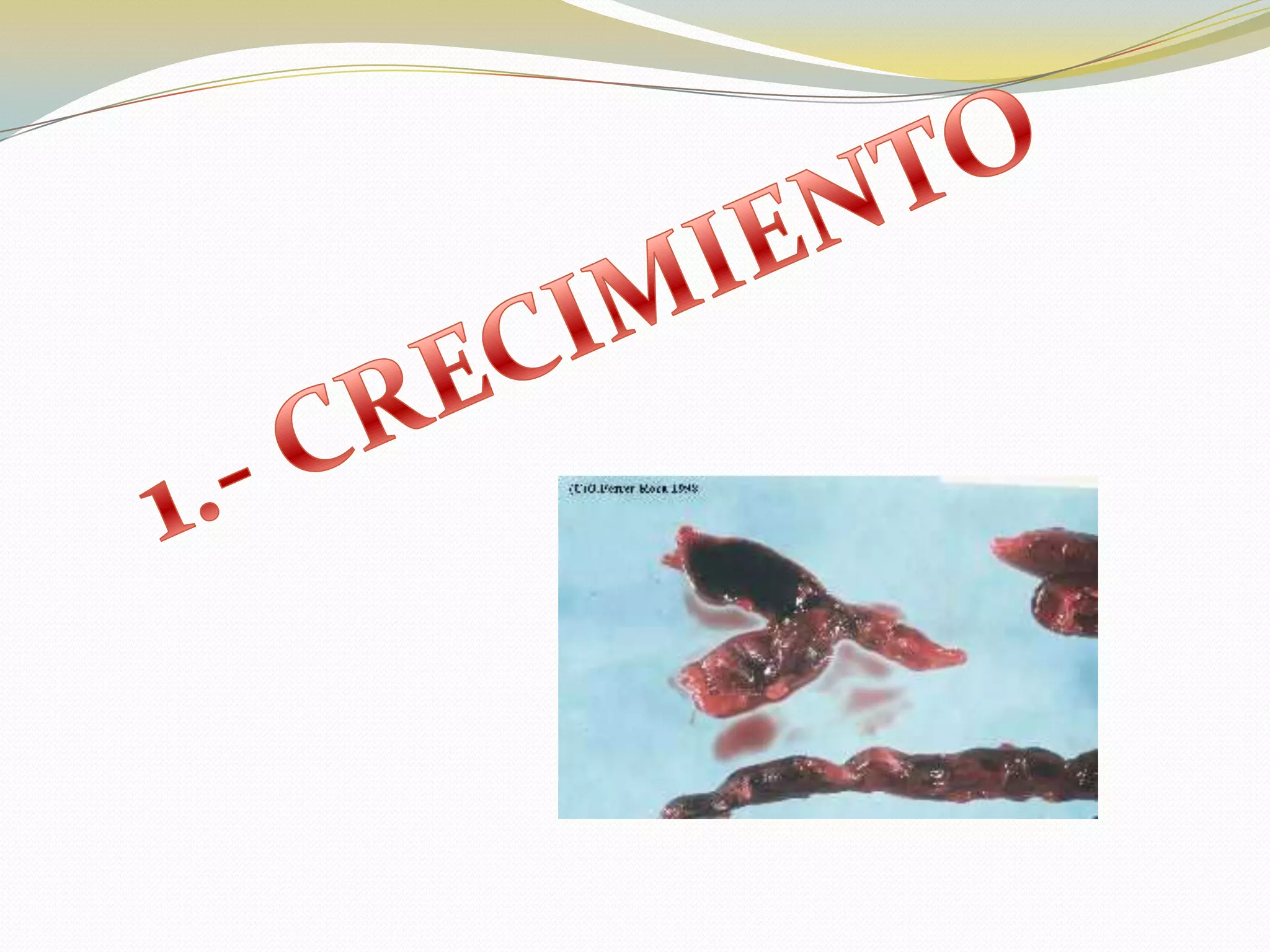 evolucion de trombos | PPTX