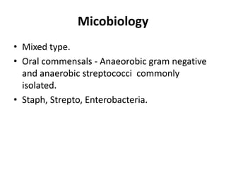 infections of pulp, periapical tissues,ludwig angina, osteomyelitis ...