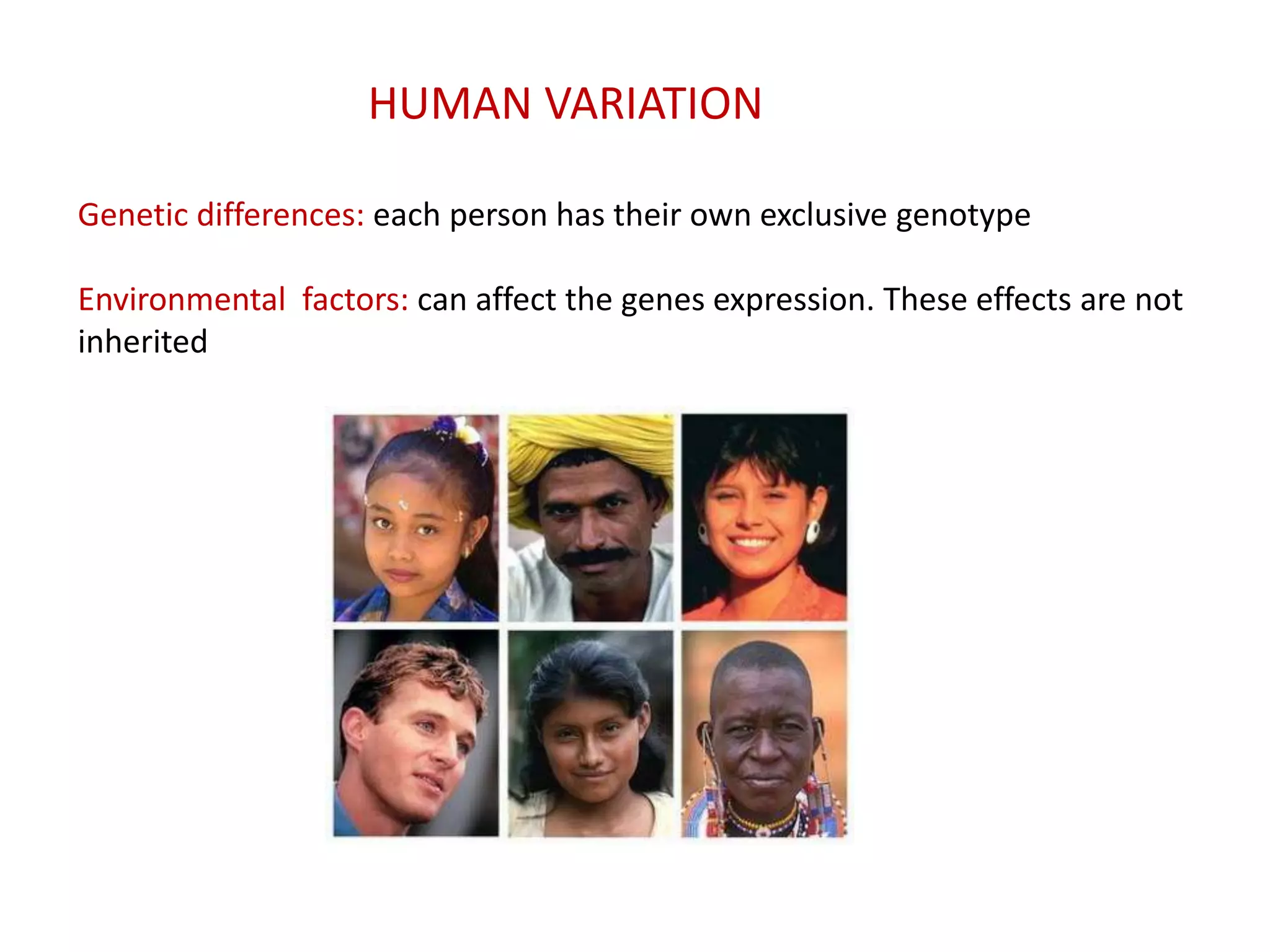6.human genetics | PPTX