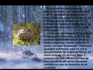 6. conservarea biodiversitatii in romania | PPT