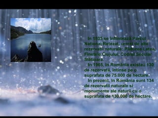 6. conservarea biodiversitatii in romania | PPT