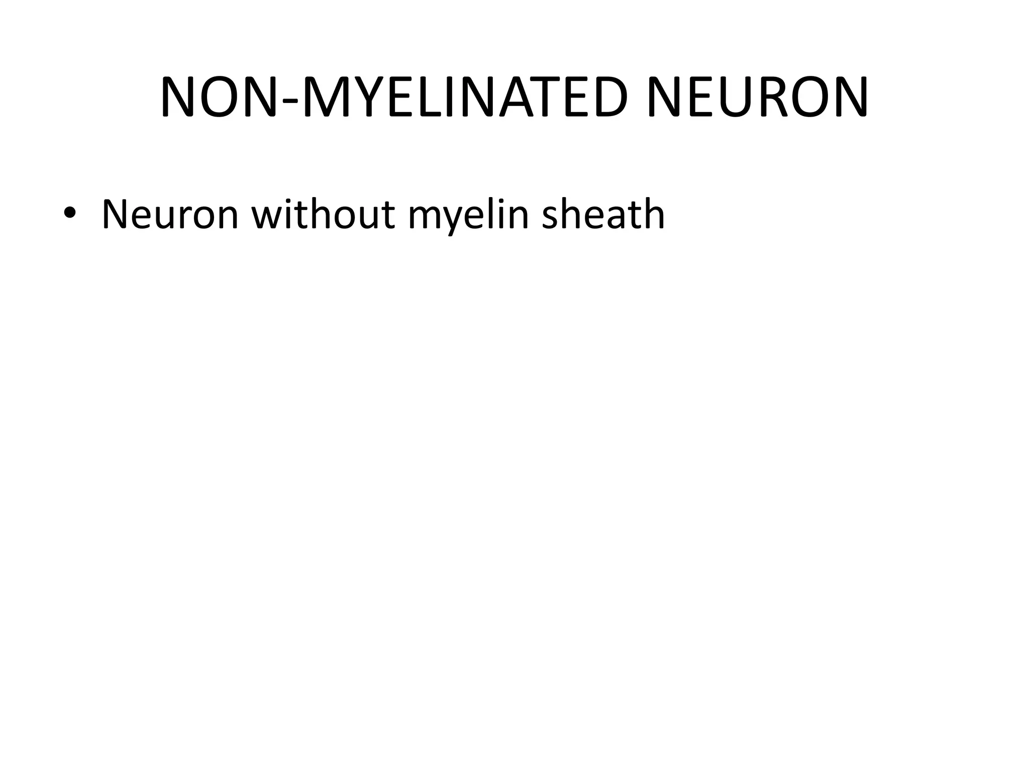 IB BIOLOGY 6.5.5 Explain how a nerve impulse passes along a non ...