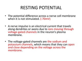 IB BIOLOGY 6.5.5 Explain how a nerve impulse passes along a non ...