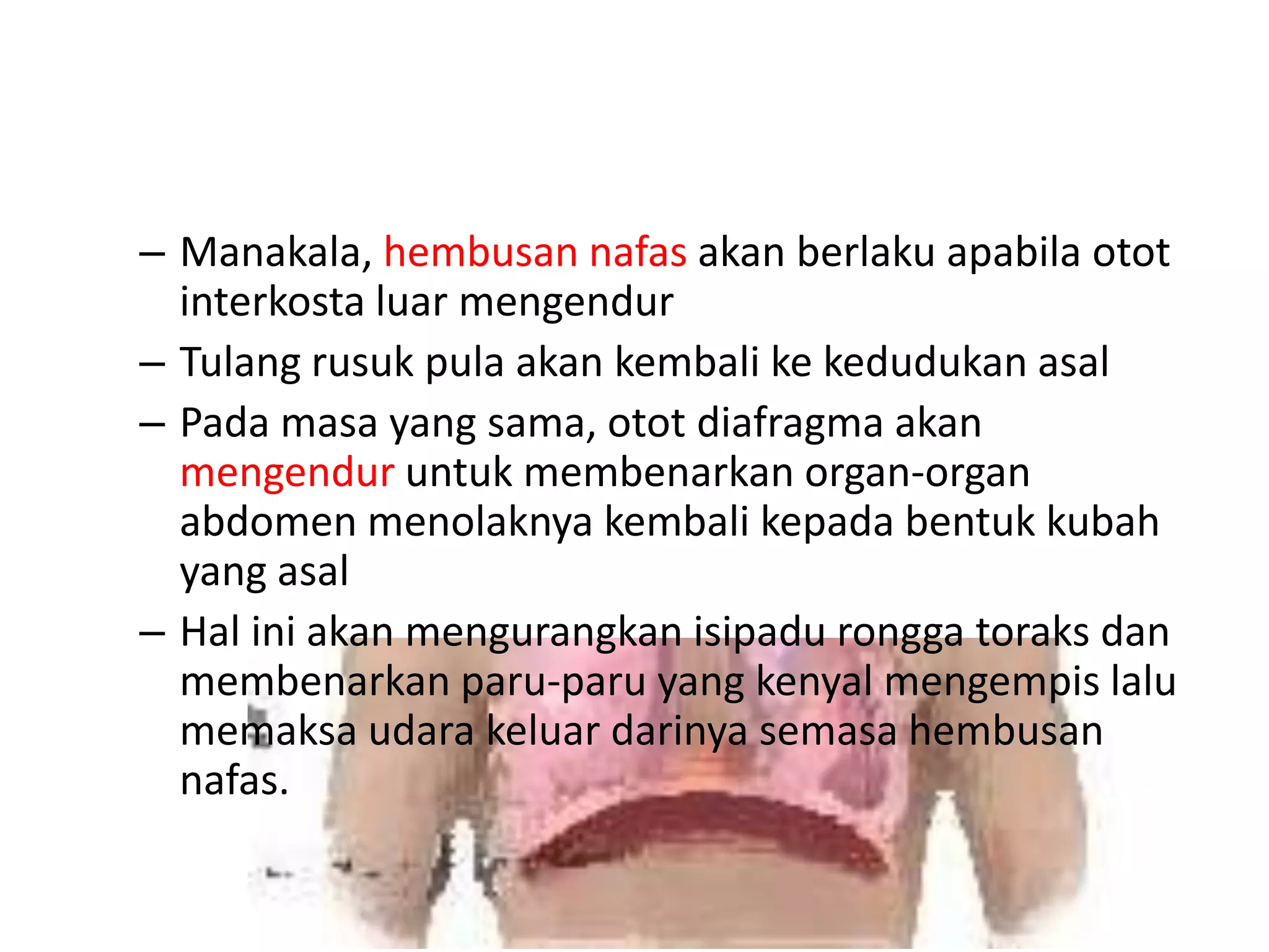 6.7 sistem respiratori | PPTX