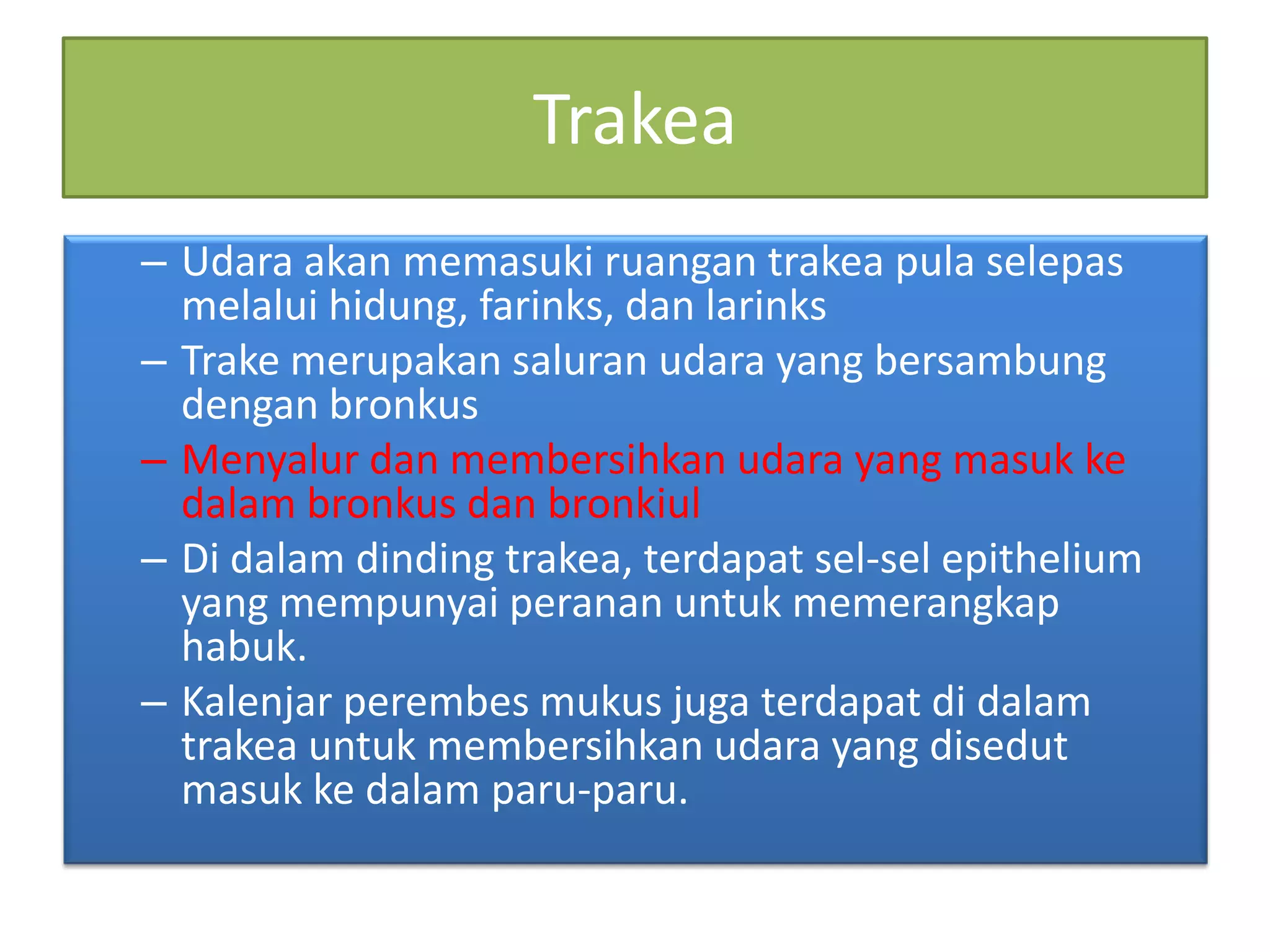 6.7 sistem respiratori | PPTX