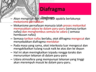 6.7 sistem respiratori | PPTX