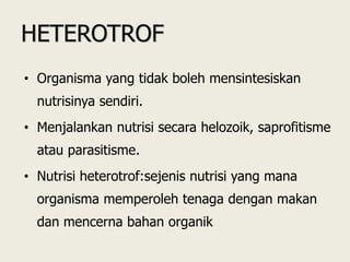 6.1 jenis jenis nutrisi | PPTX