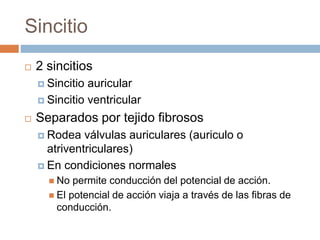 6. sistema cardiovascular | PPTX