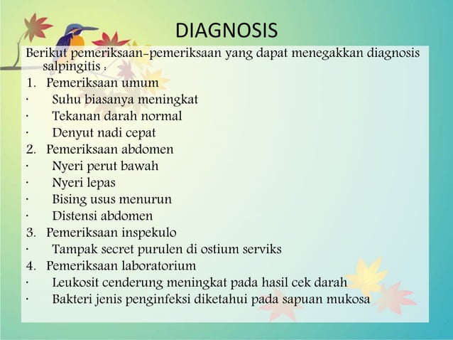 6. salpingitis & adnexitis | PPTX